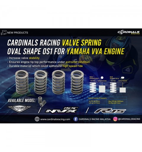 Cardinals Racing Oval Valve Springs (OS1) - Yamaha R15V3/MT-15/NVX/NMAX ...