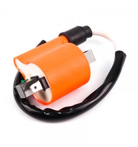 SCK Racing Performance Ignition Coil (Fuel Injection)